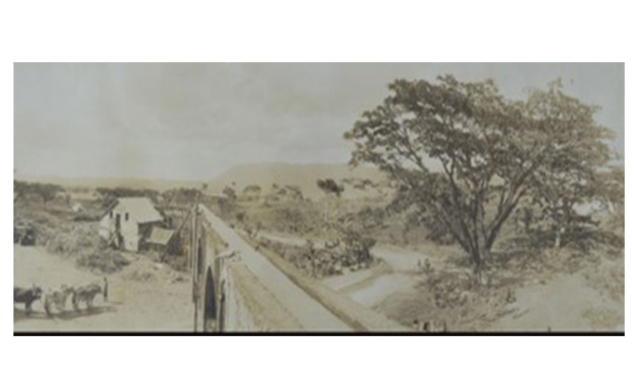 Heritage - Worthy Park Estate Ltd